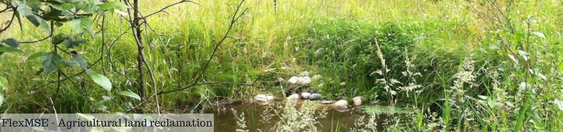 FlexMSE-Agricultural-land-reclamation - Landtech Soils