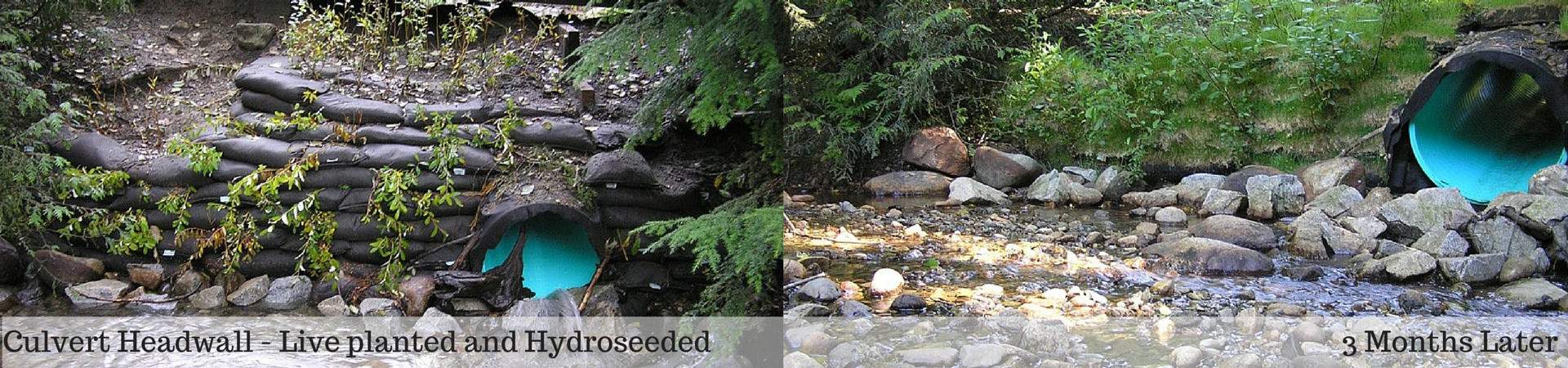 FlexMSE-Culvert-Headwall-Live-planted-and-Hydroseeded1 - Landtech Soils