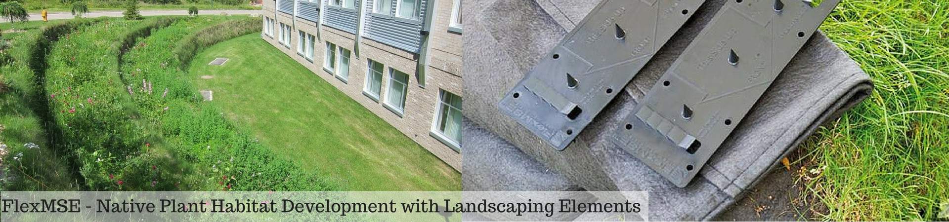 FlexMSE-Native-Plant-Habitat-Development-with-Landscaping-Elements ...