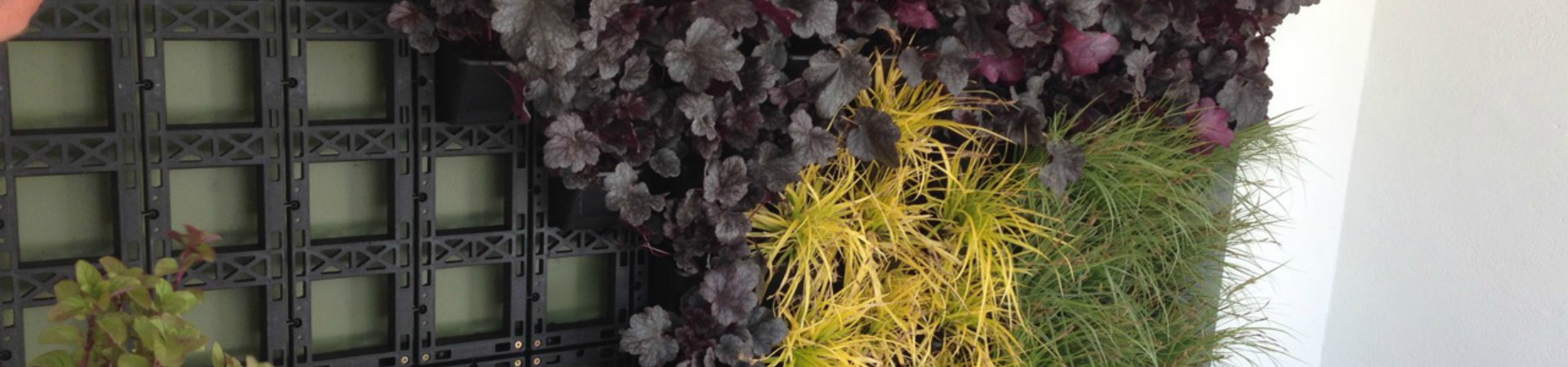 Green-wall - Landtech Soils