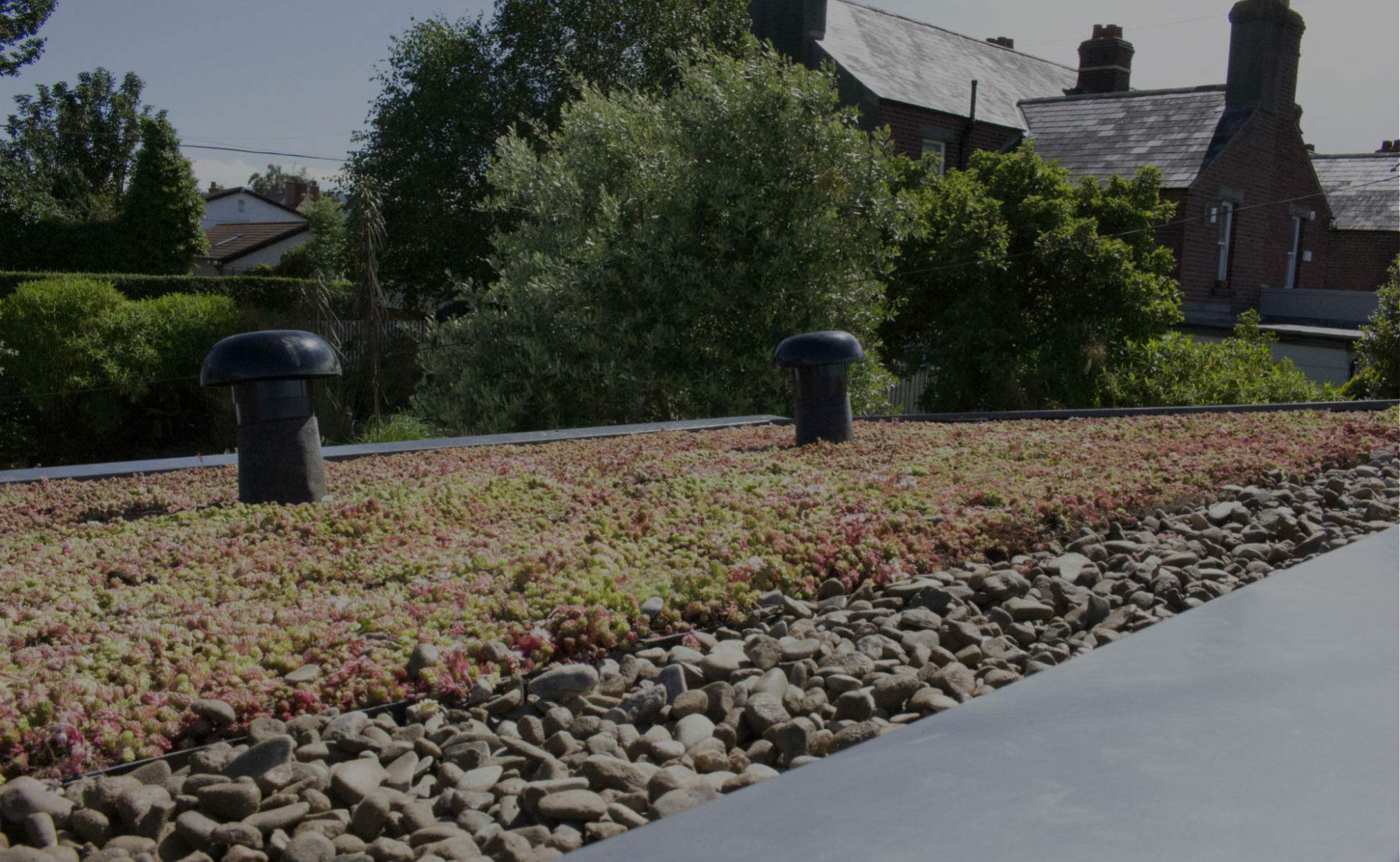 Green Roof home banner_overlay - Landtech Soils