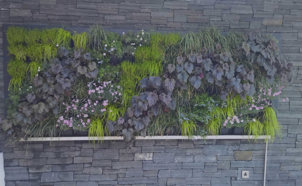 Green-Walls-Landtech-Soils - Landtech Soils