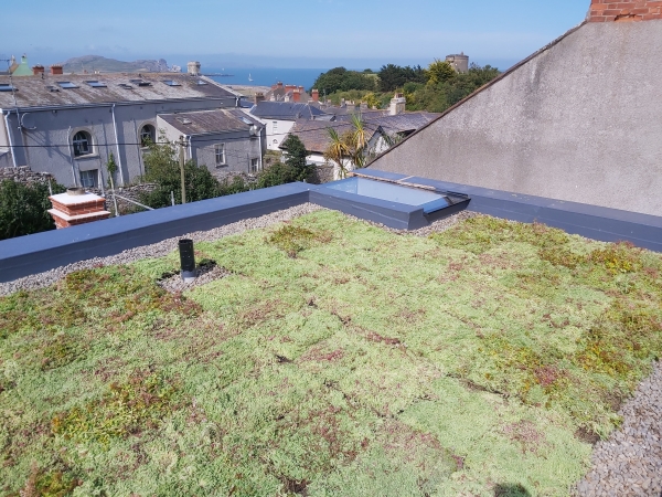 Urban Greening Solutions | Innovative Horticultural Solutions for ...